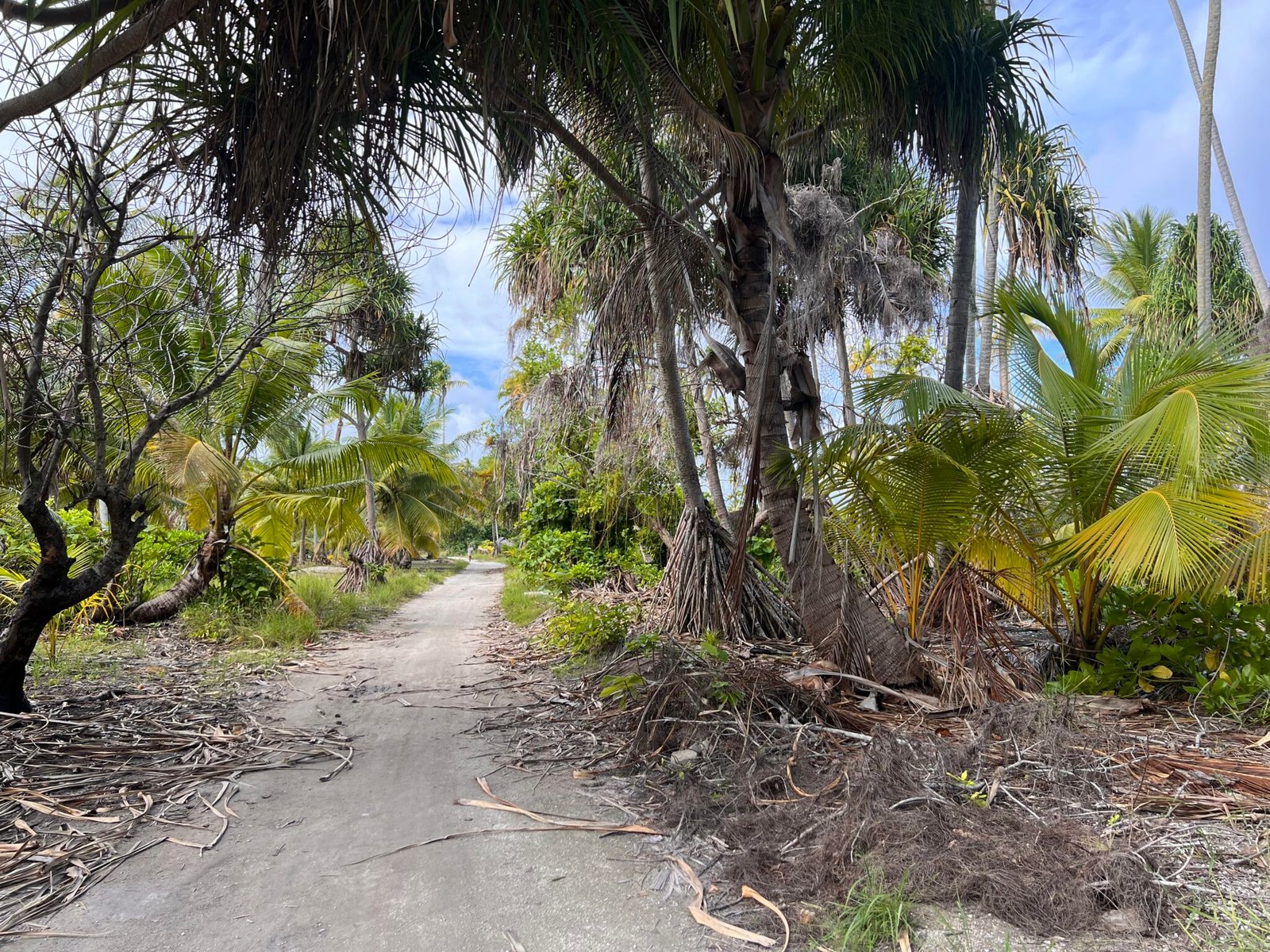 Climate Change Adaptation – Digital Kiribati